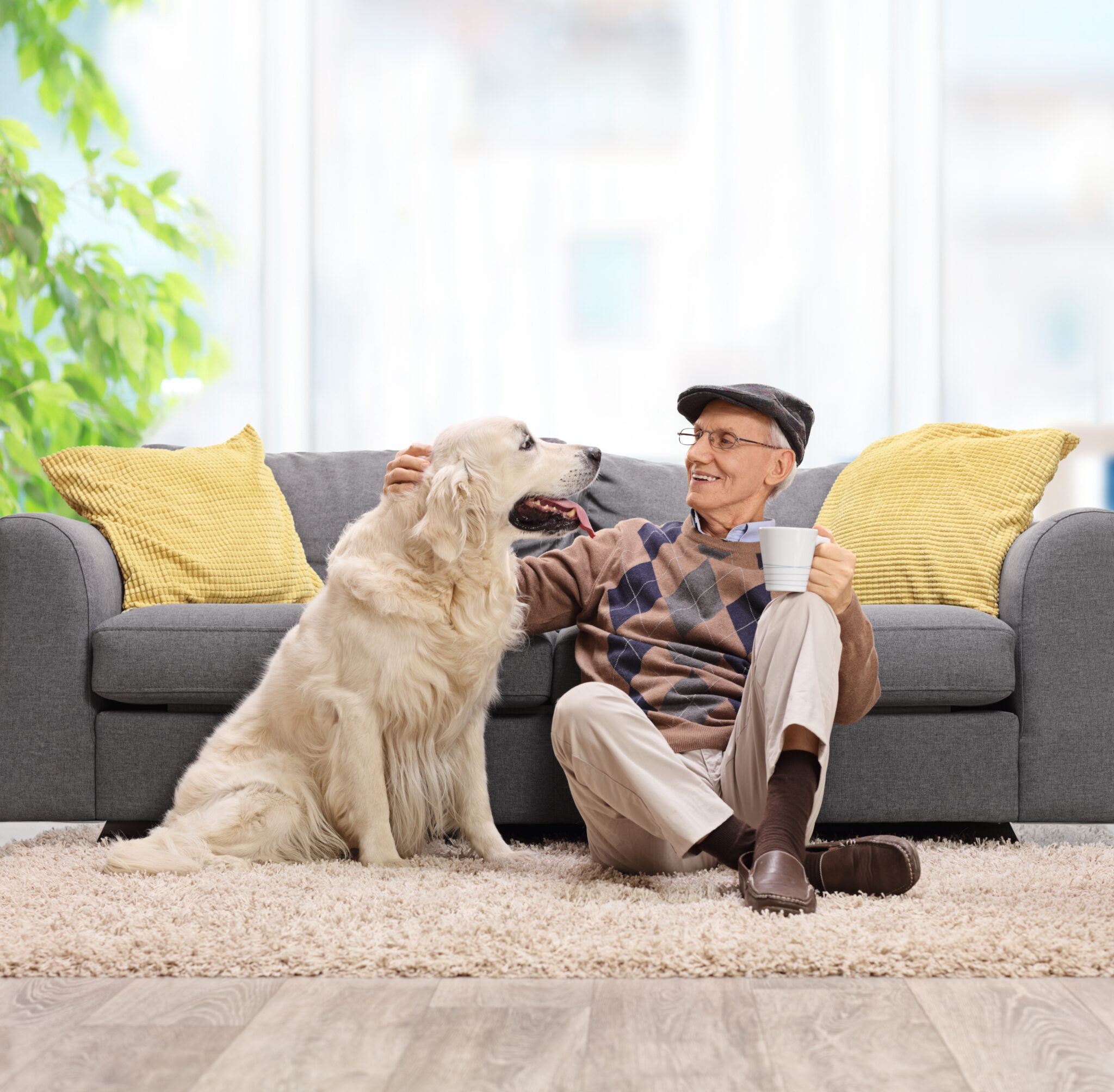 How Pets Can Positively Impact Dementia Care